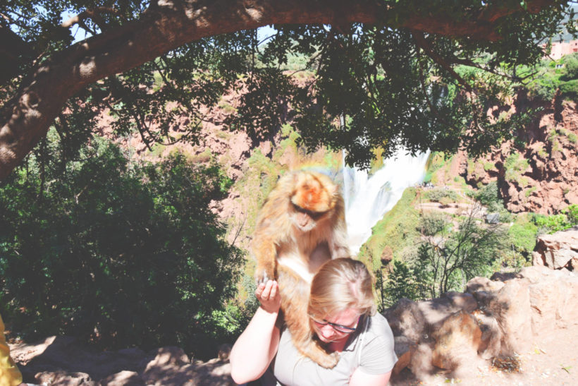 Ouzoud Waterfalls Morocco: Complete Travel Guide 2025 • BEWILDERED IN MOROCCO