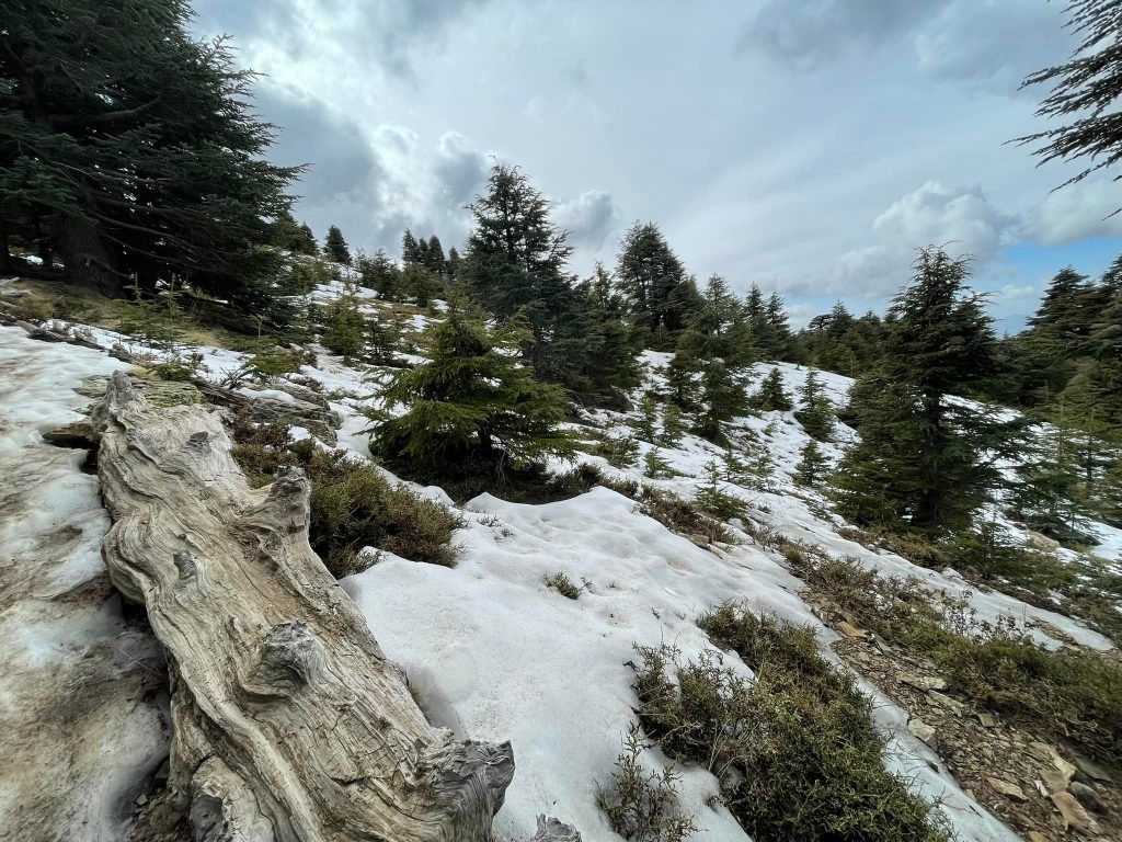 Mount Tidghine: Northern Morocco's Highest Peak (2,456m) • BEWILDERED ...
