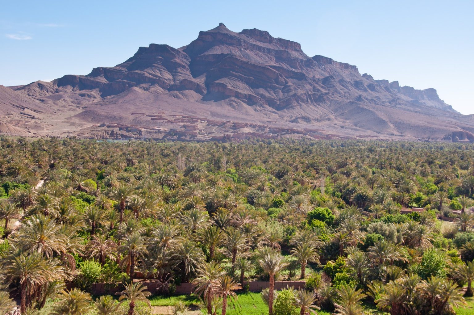 Agdz Morocco: Hidden Oasis in the Drâa Valley Guide • BEWILDERED IN MOROCCO