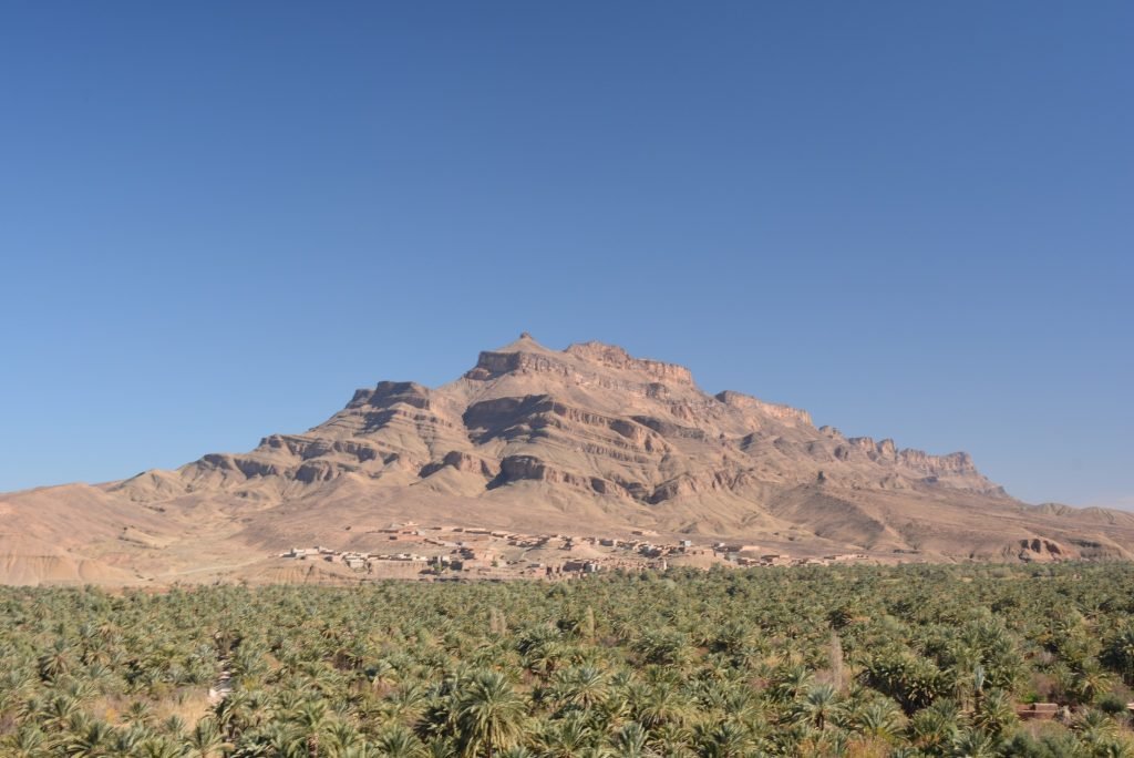 Agdz Oases: Discover Morocco's Hidden Desert Treasures• BEWILDERED IN ...