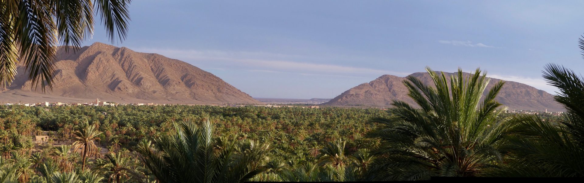 Figuig Morocco: Ancient Oasis Travel Guide 2025 • BEWILDERED IN MOROCCO